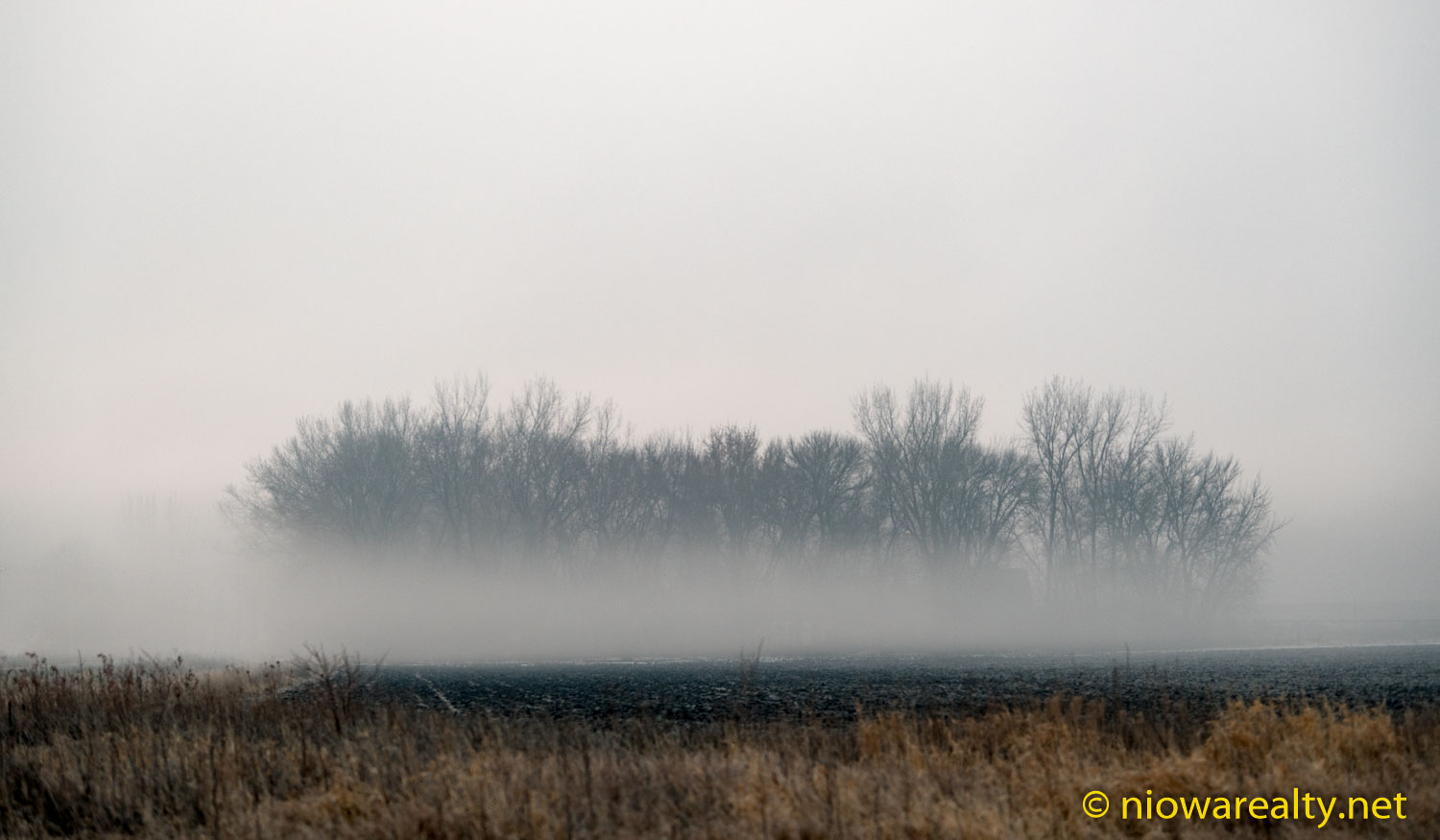 Fogged Over - Holtz Realty