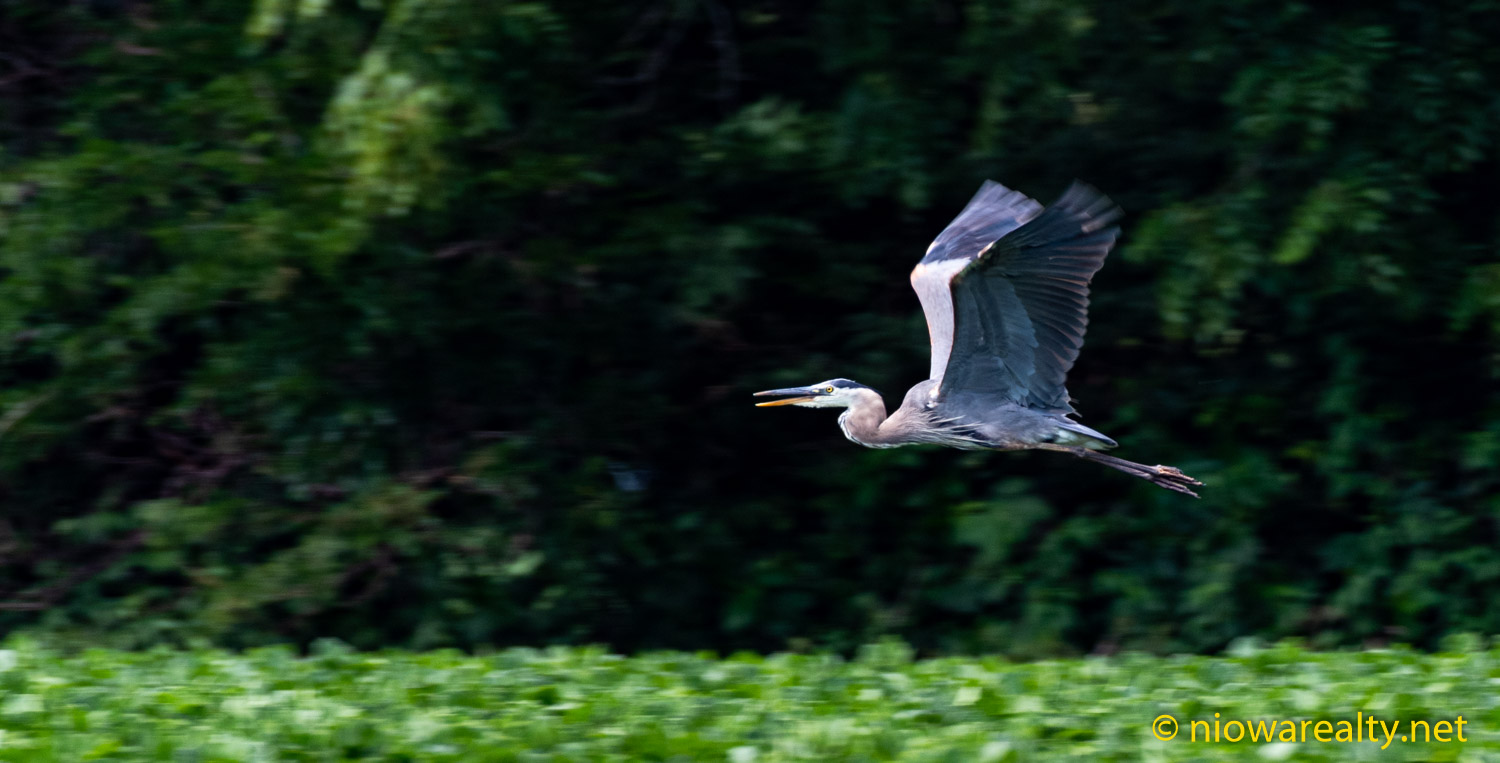“Big Blue” taking Flight - Holtz Realty