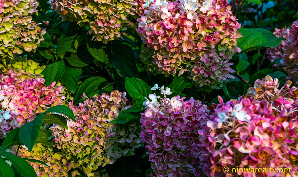 Everything that Moves - Holtz Realty