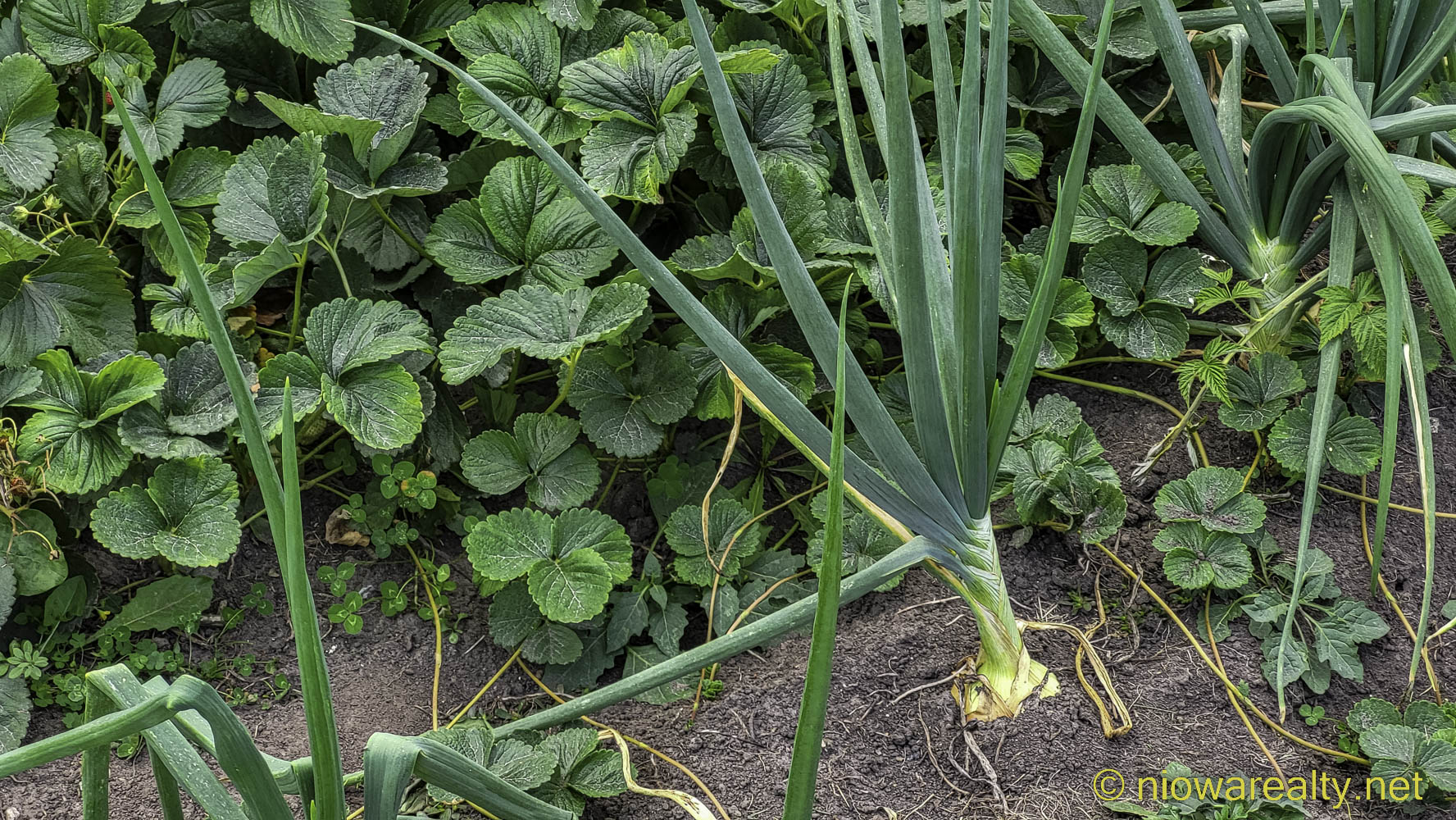 The Fomenting Of Social Discord - Holtz Realty