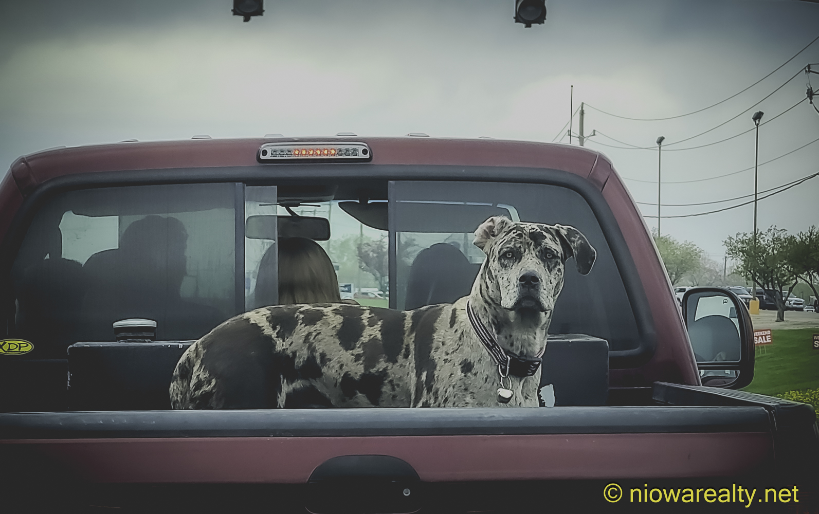 Number One State In The Nation - Holtz Realty