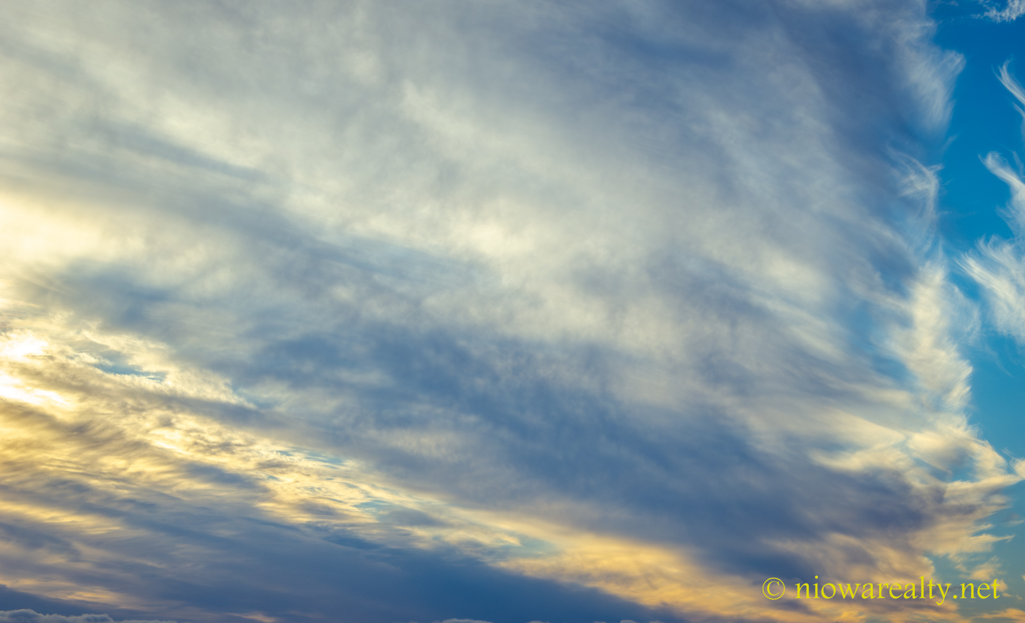 This Exponential Growth Of Denialism - Holtz Realty