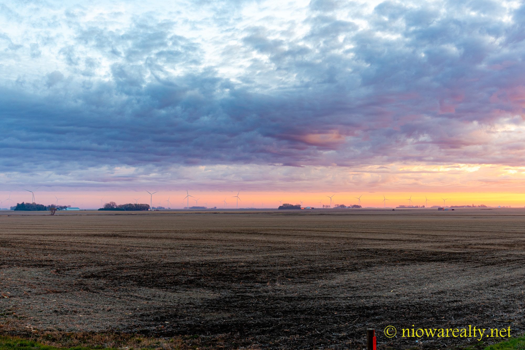 A Female Mallard Duck In Its Claws - Holtz Realty