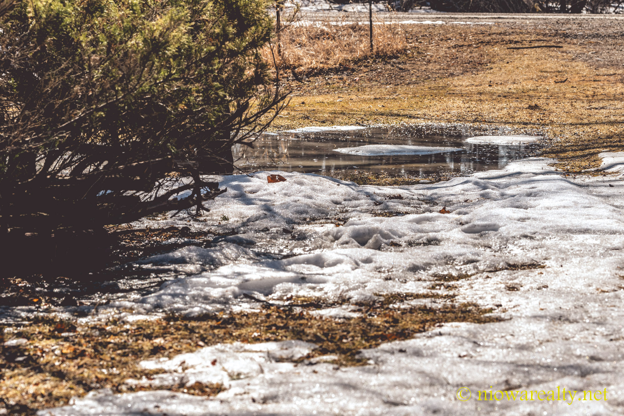 Let The Bedbugs Bite Holtz Realty