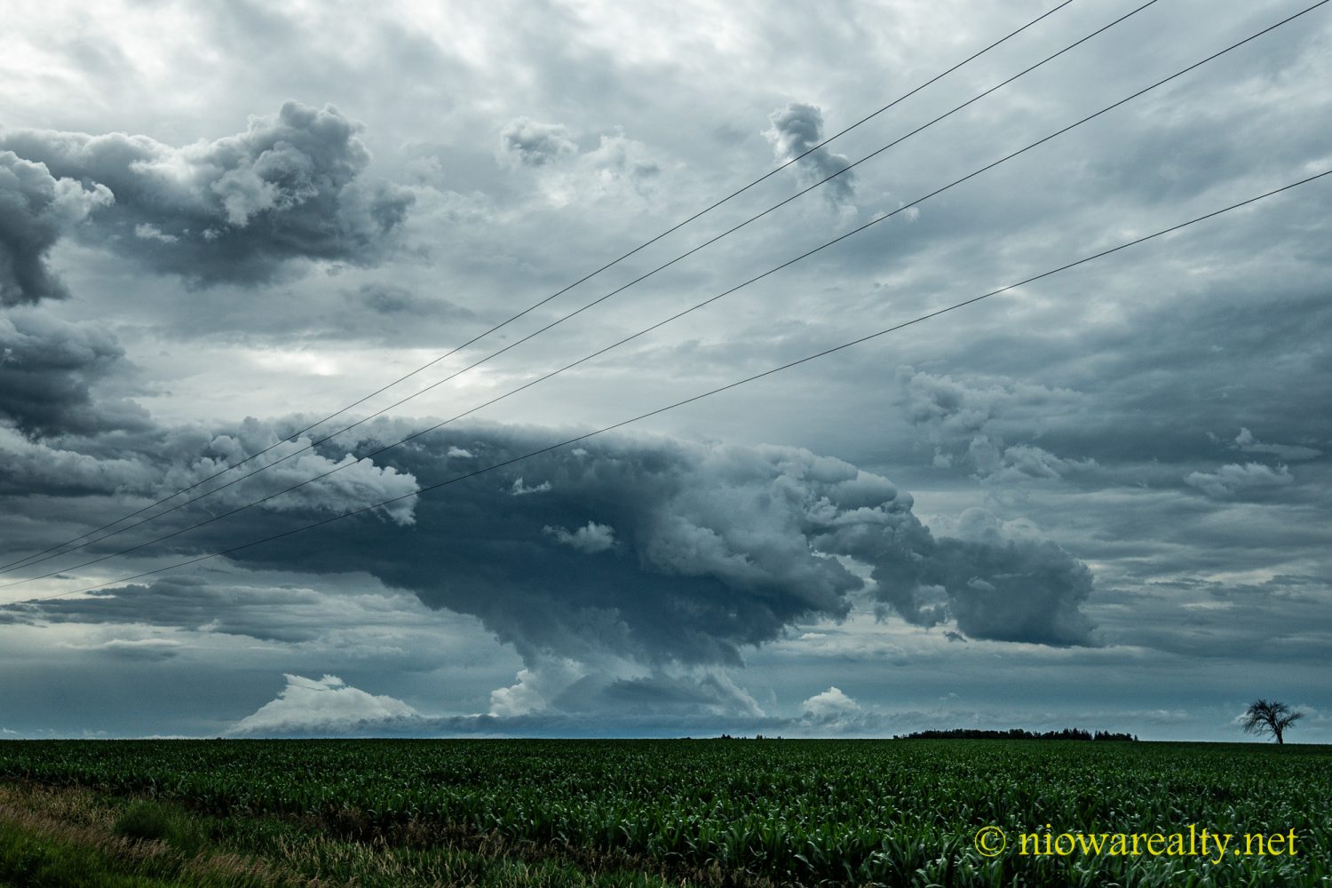 The Main Ingredient - Holtz Realty