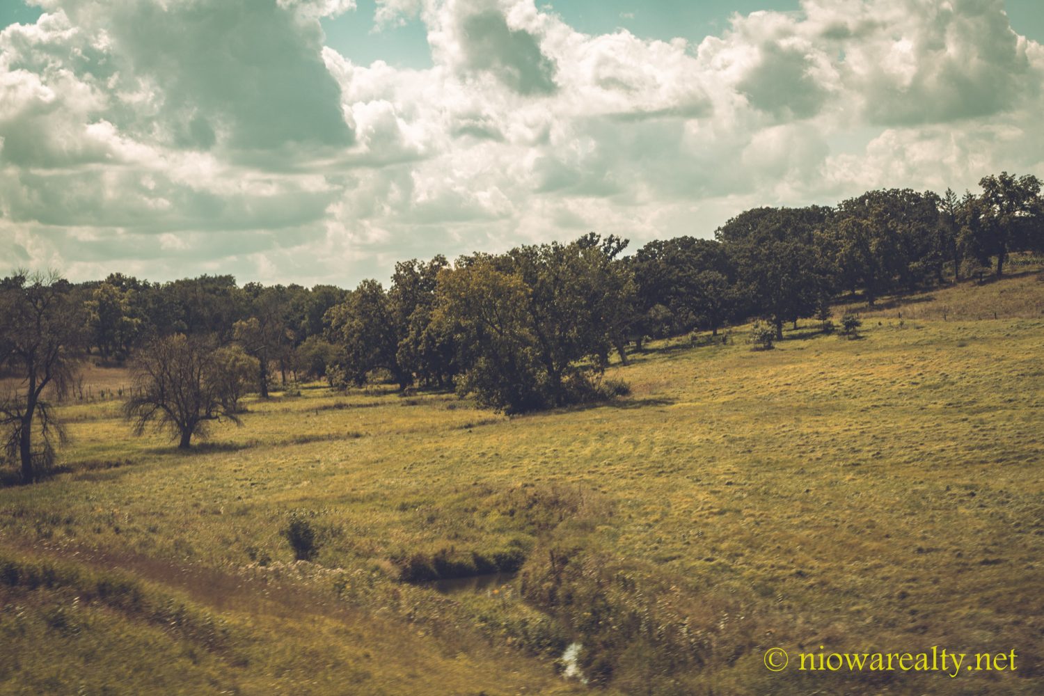 Definitely Got An Eyeful - Holtz Realty