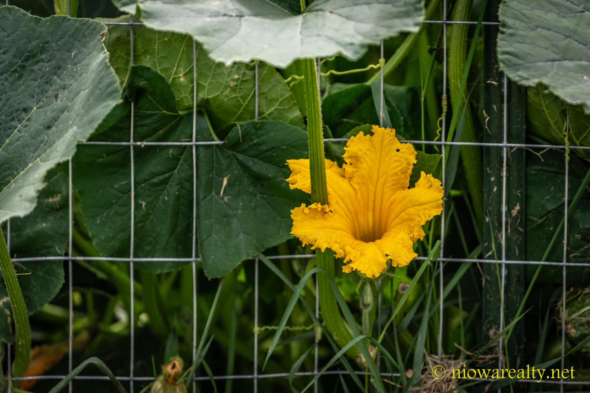 A Rage Blackout - Holtz Realty