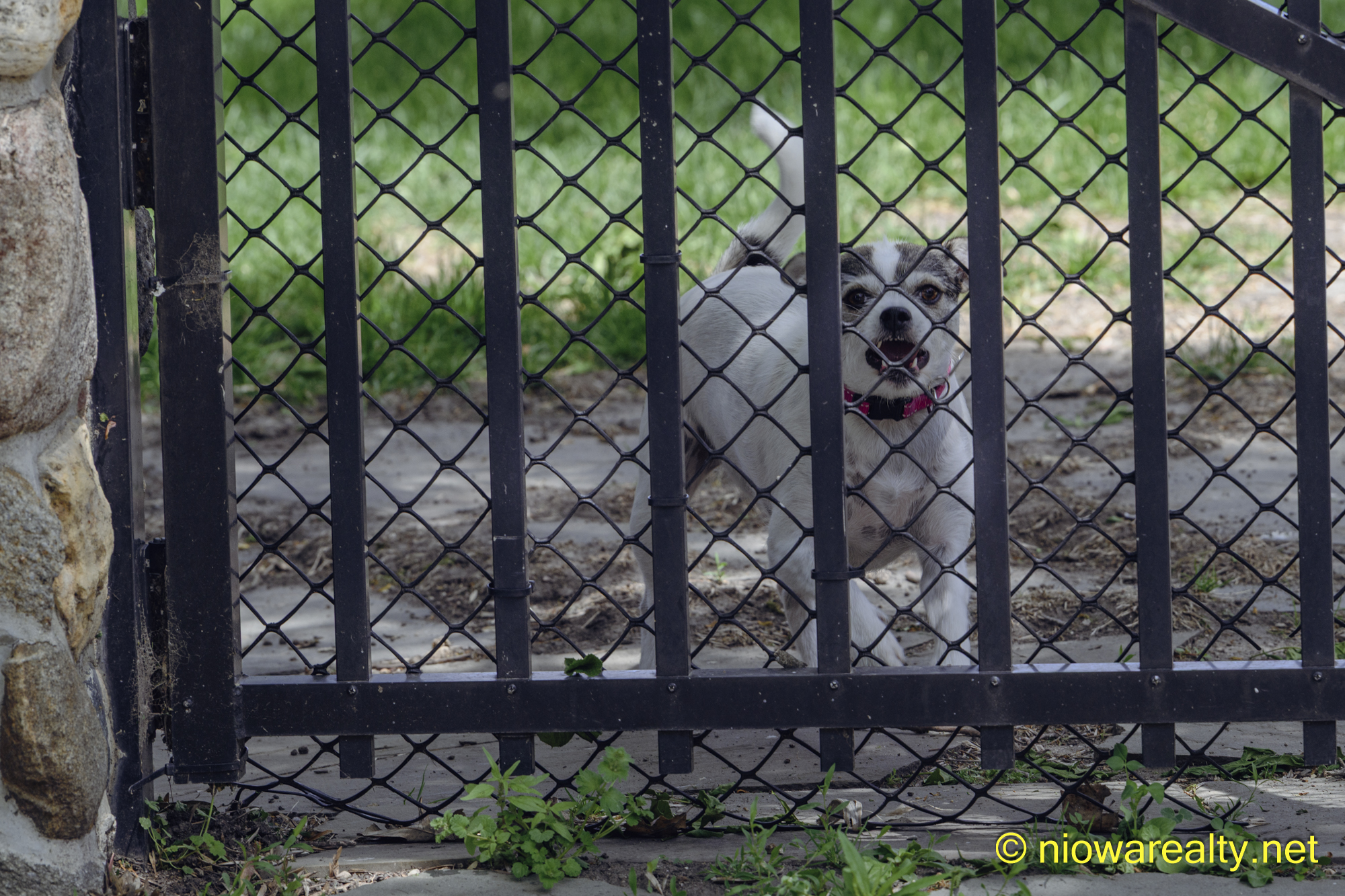 All The More Prickish - Holtz Realty