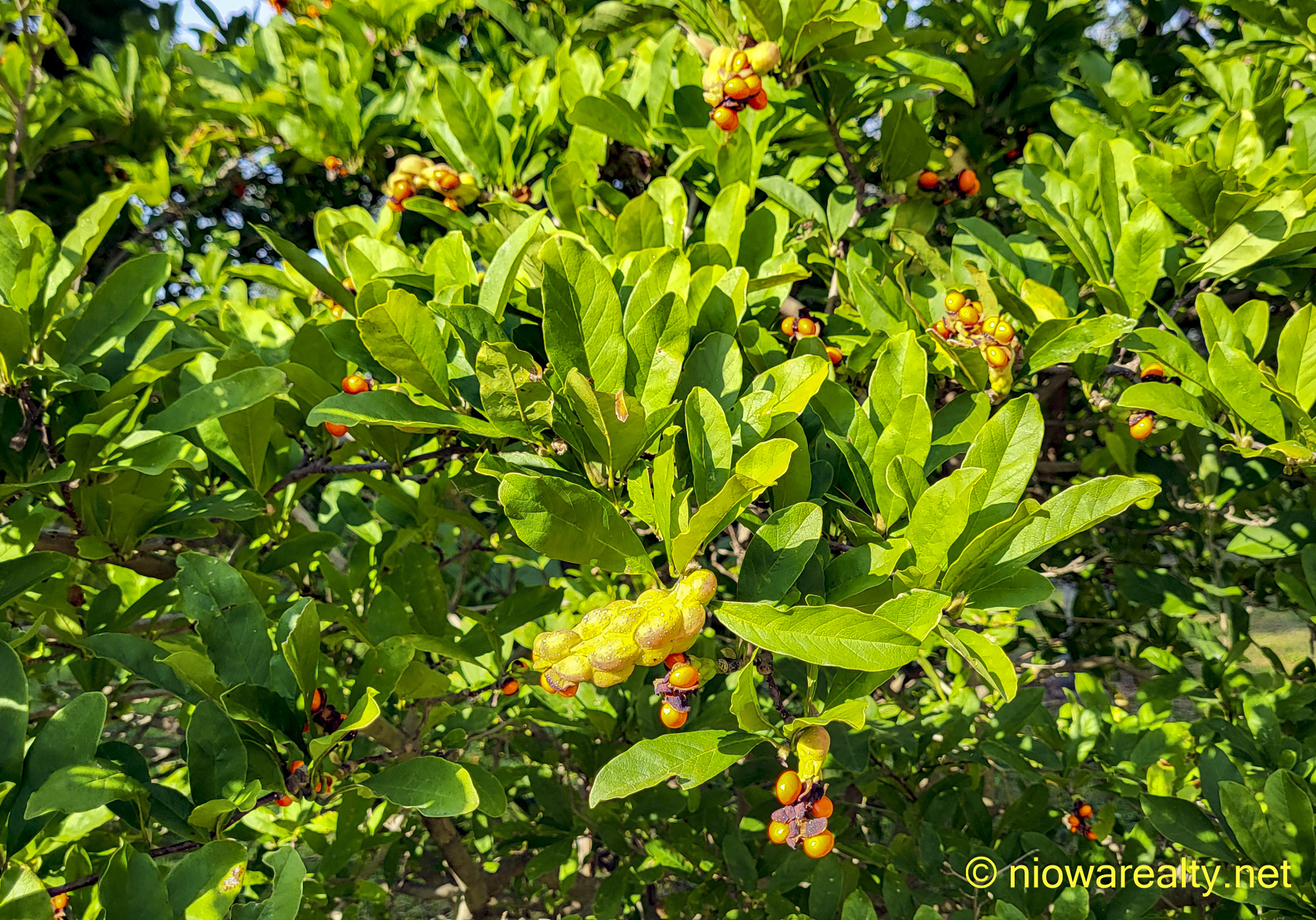 A Whirlwind Coming From Every Direction - Holtz Realty