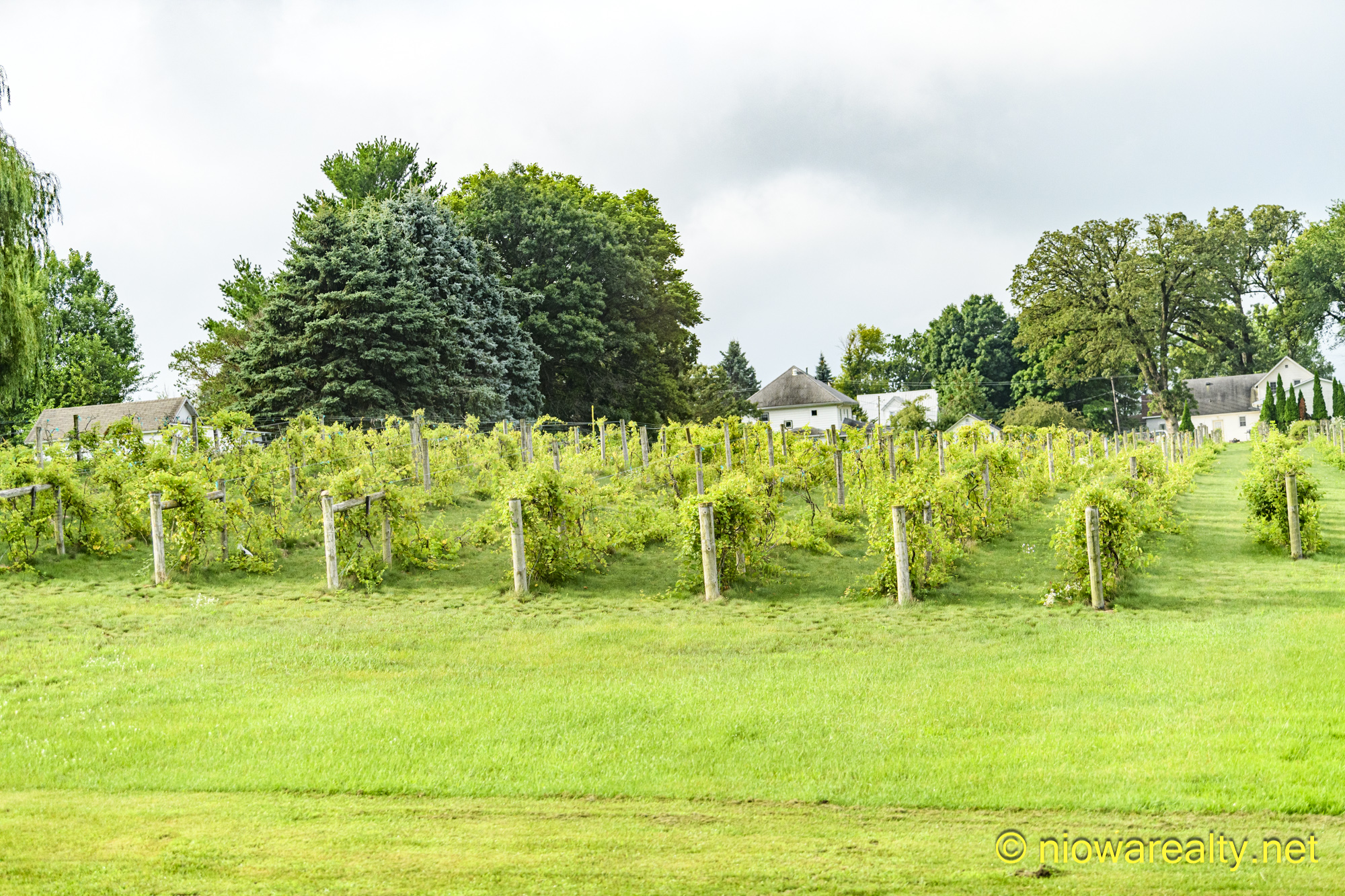 A Tad Bit More - Holtz Realty