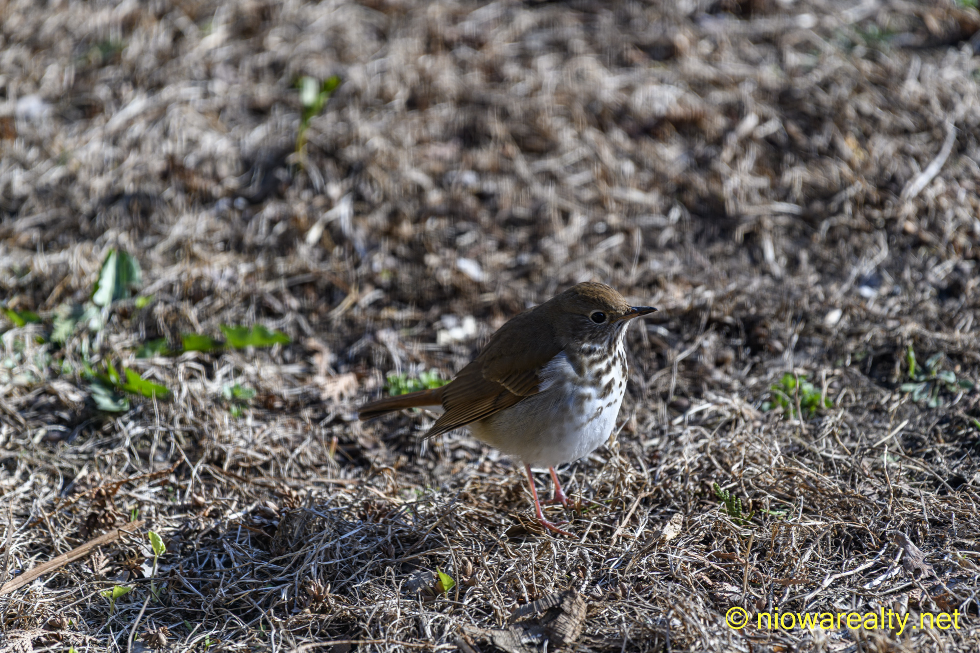 A Quick Reduction Of Price - Holtz Realty